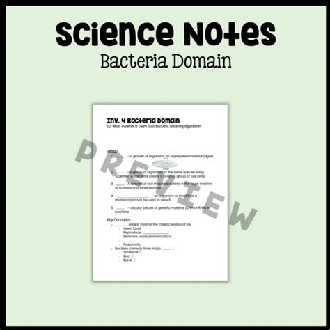 Bacteria Domain Notes By Brooks Squared Tpt