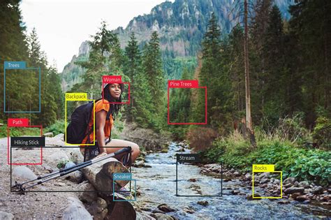 Widely Used Neural Networks For Feature Detection Altamira