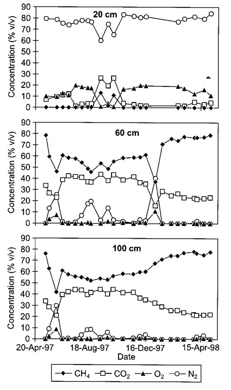 The Temporal Variations In Gas Concentrations At Depths 20 60 And 100 Download Scientific