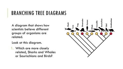 Ppt Evolution Powerpoint Presentation Free Download Id 2576839