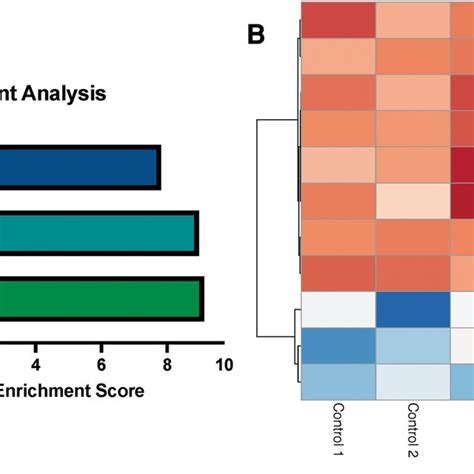 Enrichment Analysis Of Ranked Gene Expression Differences Between Download Scientific Diagram