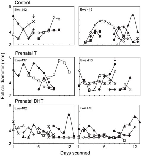 Ovarian Follicular Dynamics Of Both Ovaries From Two Each Of C