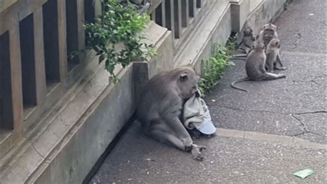 울루와투 사원 Youtube