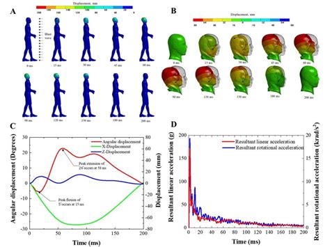 Spatiotemporal Evolution Of Kinematic Response Of The Human Model To Download Scientific