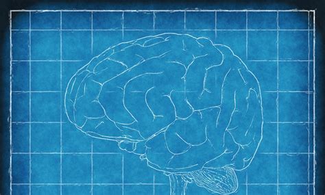 Neurodegeneration Biomarkers For Diagnosis Of Alzheimers And Mnd European Medical Journal