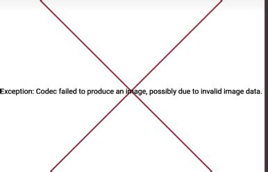 Image Codec Failed Issue Flutter Flutter Github