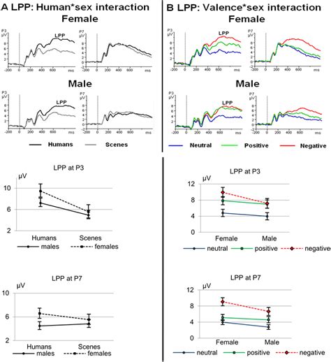 ERPs Of Parietal Electrodes P And P Depicting The Human Sex And The Download Scientific