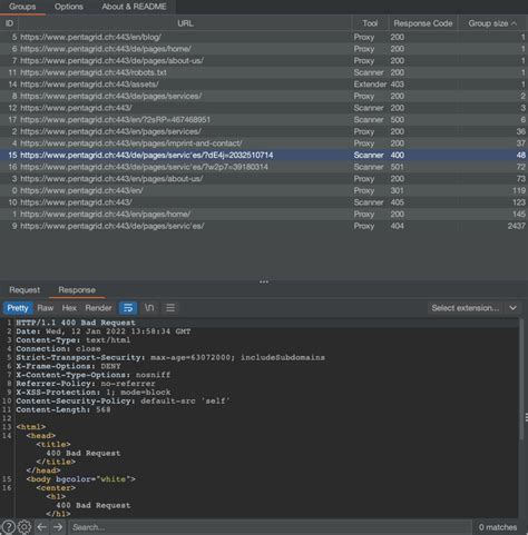 Response Overview Burp Extension Pentagrid AG