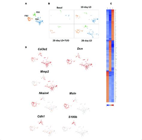 Sub Clustering Analysis Of The Transcriptome Pattern Of Fibroblasts