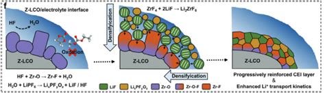 新材料学院潘锋 赵庆贺团队基于高电压钴酸锂表界面结构密实化的机理研究有效提升了锂电池循环稳定性 南燕新闻网