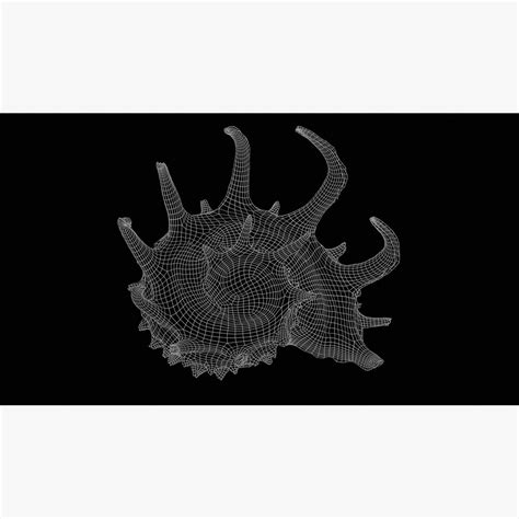 Angaria Delphinus Melanacantha 3d Model Download Arthropod On