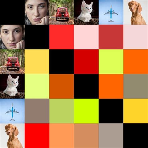 The Experimental Workfolw Encoding Models And Representational