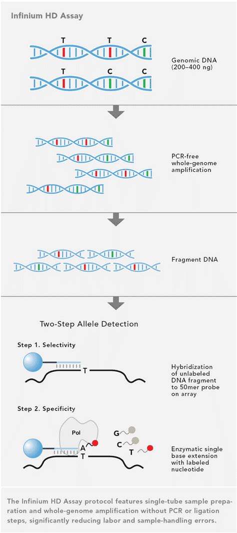 Genotyping Sequencing Plant Genetic Resources 3502 470 Ss2024