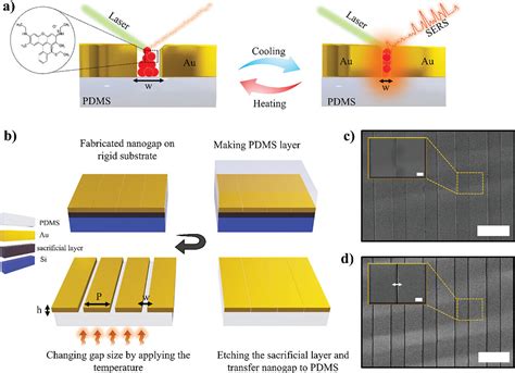 Ultra Precision Sensor Technology Developed For Single Molecule