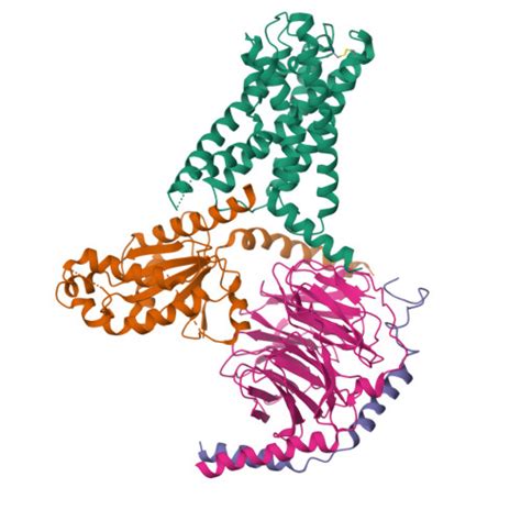 Rcsb Pdb 9v0u Gpr133 Gain Minig13 Complex