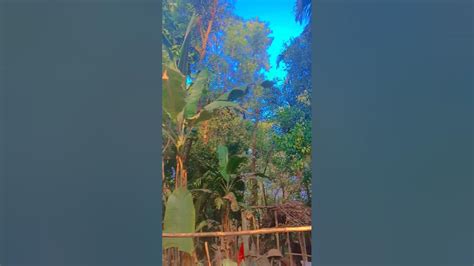 New User Youtube