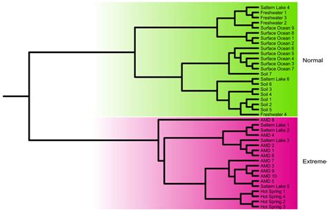 Clustering Analyses Based On The Community Scale Evolutionary Variables Download Scientific