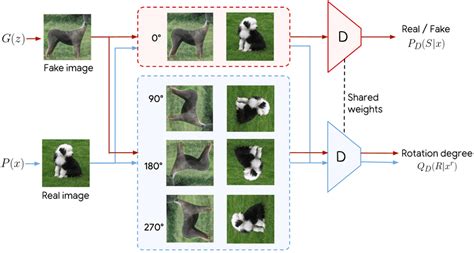 Self Supervised Gan Ssgan Discriminator The Discriminator í µí°· Download Scientific