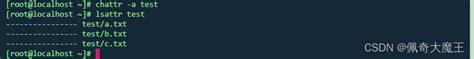 Linux命令之chattr和lsattrlsattr属性e 无法删除 Csdn博客
