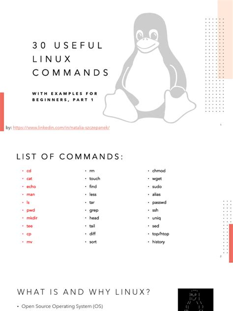 Linux Basics Part 1 Pdf Text File Directory Computing