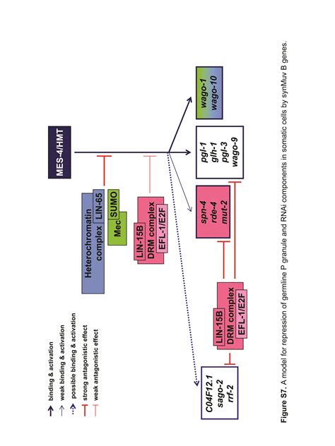 pdf figure s7