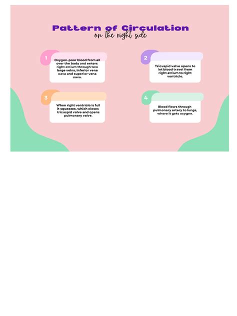 Right Pattern Of Circulation Pdf