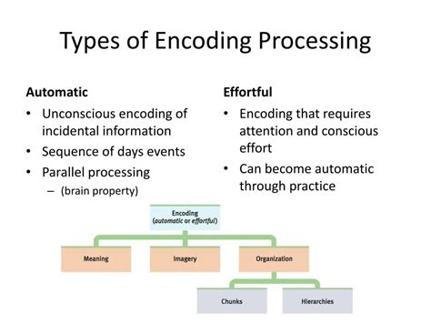 Ppt Memory Powerpoint Presentation Free Download Id3925882