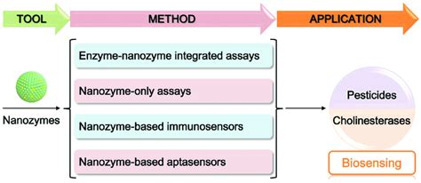 Schematic Diagram Of Nanozymes As An Emerging Tool To Develop Various