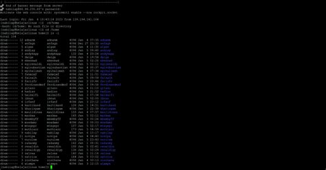 Mengenal Struktur Direktori Yang Ada Pada Linux