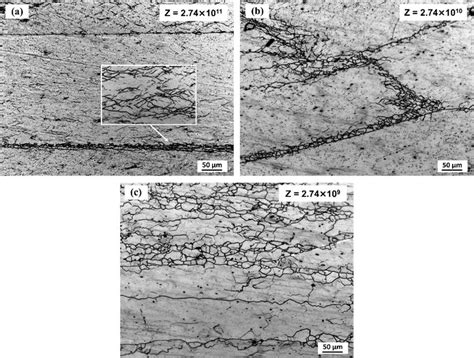 Deformed Microstructures Of Specimens Compressed To A Strain Of 069