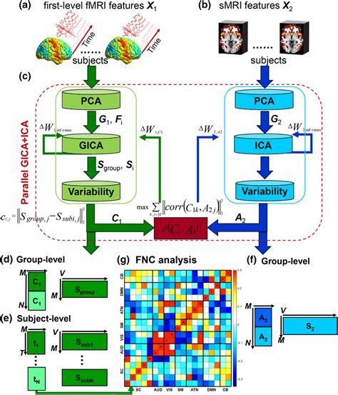 Flowchart Of The Proposed Parallel Gica Ica Approach A First‐level