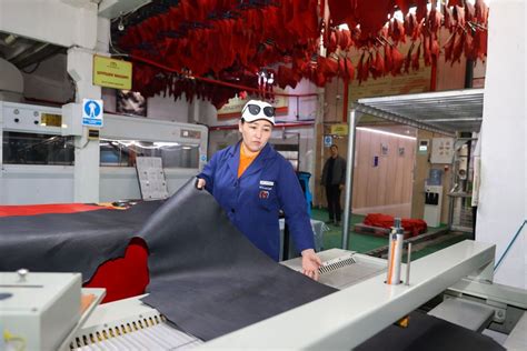 Түүхий эд бүтээгдэхүүнийг анхан шатнаас гүн боловсруулах цогцолборуудыг байгуулна Хүнсний