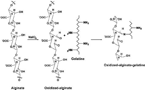 Figure 1 From Biomimetic Alginategelatin Cross Linked Hydrogels Supplemented With Polyphosphate