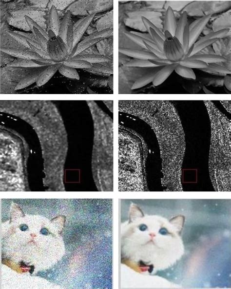 Image Effects Before And After Denoising The Picture On The Left Is