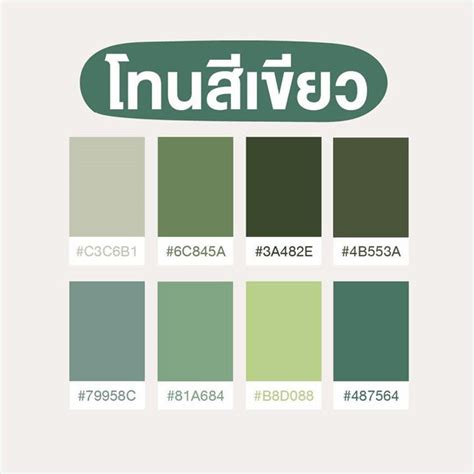 รวมชุดโค้ดสีสุดเจ๋ง หลากหลายสไตล์ ปรับใช้ได้กับงานต่างๆ ปันโปร