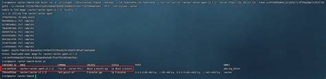 docker安装部署rancher 码农 博客园