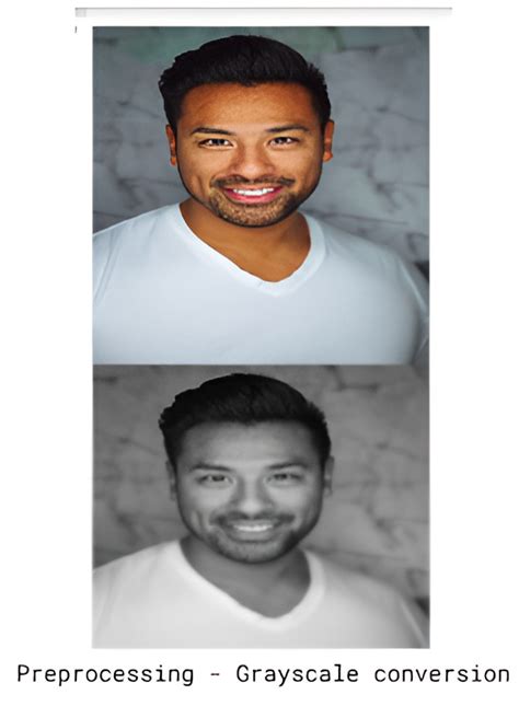 Detecting Deceptive Behaviour Using Machine Learning Ml Dexlock