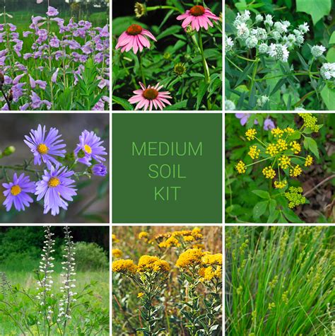 Medium Soil Garden Kit New Leaf Natives