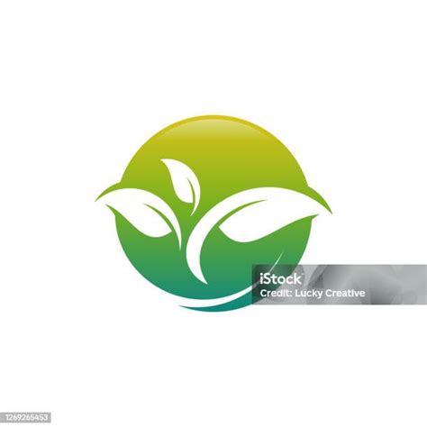 잎 창조적 인 개념 로고 디자인 템플릿 추상 녹색 잎 로고 아이콘 벡터 디자인 조경 디자인 정원 식물 자연 및 생태 벡터 로고 개념에 대한 스톡 벡터 아트 및 기타 이미지