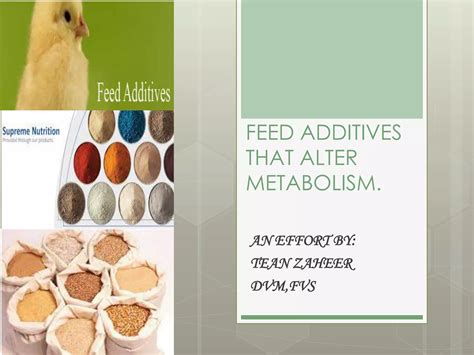 Feed Additives PPTX