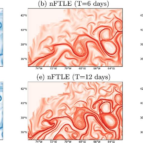 Composition Of The Finite Time Lyapunov Exponent Field For Two Download Scientific Diagram