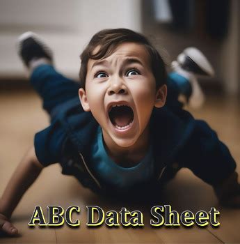 ABC Data Sheet By Vivid Visuals Teachers Pay Teachers