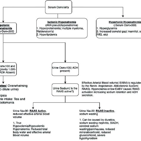Diagnostic Approach To Hyponatremia Starting With Osmolality Download Scientific Diagram