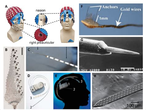A Picture Of A Headcap With 128 Scalp Eeg Electrodes Reproduced From