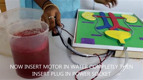 Science Working Models For Class 9 Biology