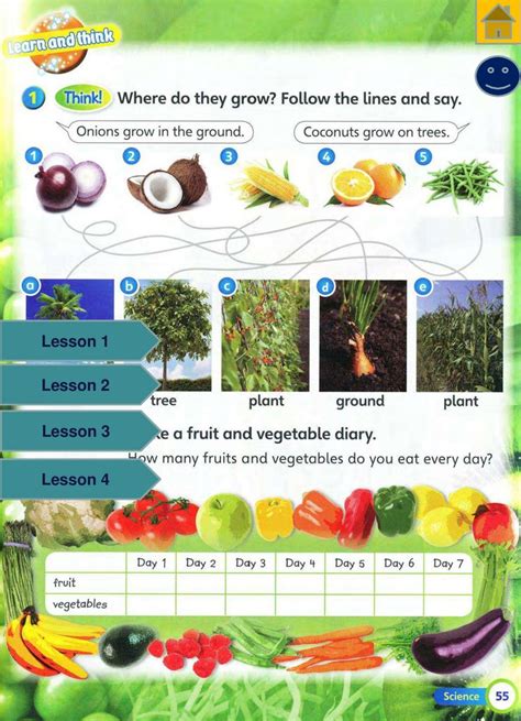 Super Minds Babe S Book Online Presentation