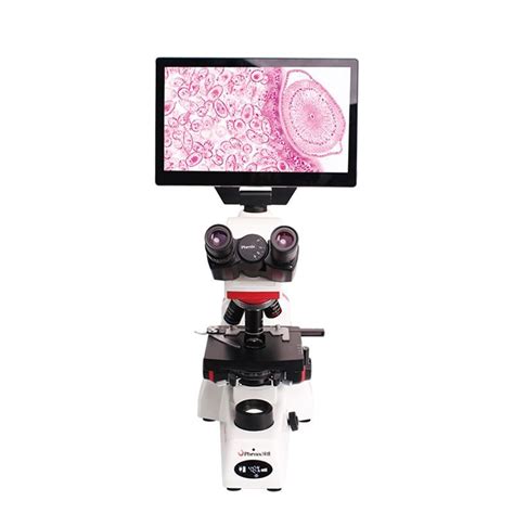 china customized digital biological microscope manufacturers suppliers