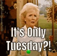 Funny Tuesday S Tenor