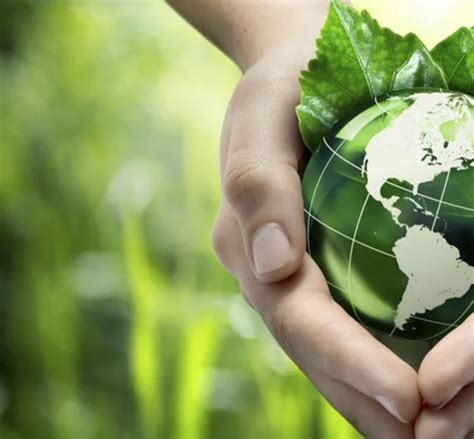 Environments And Classification In Ahmedabad Id 2852598911030