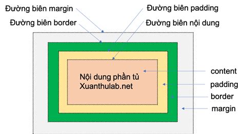 Thuộc tính margin trong CSS
